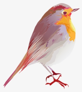Robin Clipart Spring Robin - Birds Png Sticker , Free Transparent ...