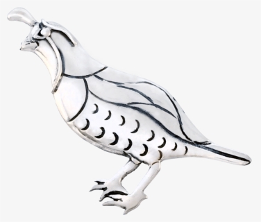 Burung Puyuh Png - Bobwhite Quail Drawing , Free Transparent Clipart ...