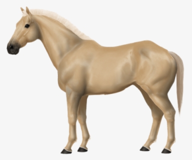 Transparent Thoroughbred Clipart - Transparent Background Horse Png ...
