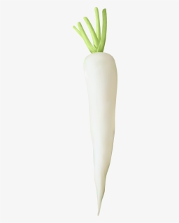 Transparent Turnip Png - Turnips Png , Free Transparent Clipart ...