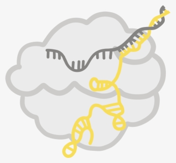 Free Crispr Clip Art with No Background - ClipartKey