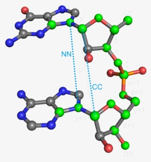 Download Dna And Rna Clip Art - ClipartKey