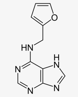 Chemical Structure Of Kinetin, A Plant Growth Hormone - Purine , Free ...