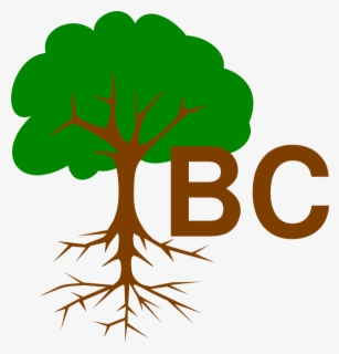Common Parts Of Tree , Free Transparent Clipart - ClipartKey