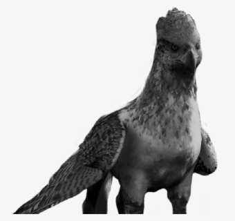 #harrypotter #hippogriff #buckbeak - Harry Potter Hippogriff Bow , Free ...