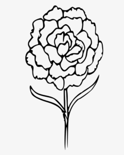 Outline Carnation Coloring Flower - Carnation Flower Clipart Drawing ...