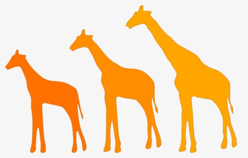 Evolution Transparent Natural Selection - Evolution By Natural ...