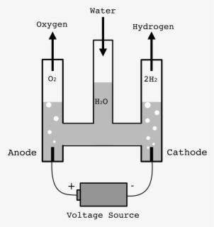 Free Clip Art "hofmann Voltameter - Electrolysis Of Water Hoffman ...