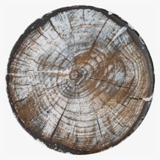 Wood Slice Png Clipart Freeuse Stock - Lumber , Free Transparent ...