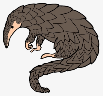 #pangolin #cute#freetoeditsticker - Pengalon Animal , Free Transparent ...