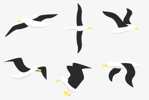 Albatross Drawing Flying Huge Freebie Download For - Seabird , Free ...