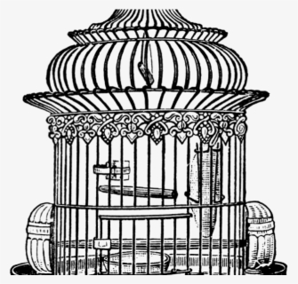 Birdcage Drawing Clipart , Png Download - Bird Cage Line Drawing , Free ...