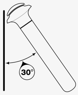 Bassipterus Virginicus Swimming Leg - Line Art , Free Transparent ...