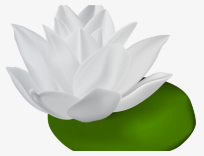 Free Lily Clip Art with No Background - ClipartKey