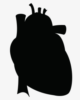 Scientist Clipart Fat - Human Heart Clipart Black , Free Transparent ...