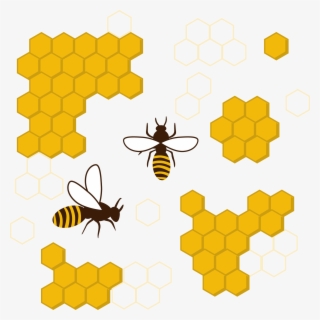 Transparent Bee Outline Png - Free Cartoon Honeycomb Png , Free ...