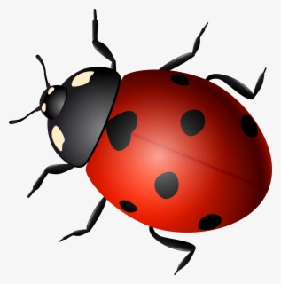 Spring Clipart Bug - Cartoon Bugs Transparent , Free Transparent ...