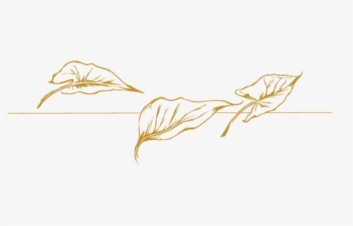 Transparent Enchantress Png , Free Transparent Clipart - ClipartKey