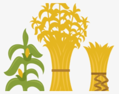 Transparent Cornstalk Png , Free Transparent Clipart - ClipartKey