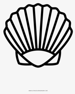 Shell Coloring Page - Sea Shells Clipart Black And White , Free ...