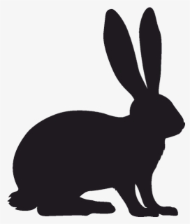 Jack Rabbit Transparent Background , Free Transparent Clipart - ClipartKey
