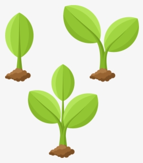 Transparent Plant Growing Png - Plant Cartoon Drawing , Free ...