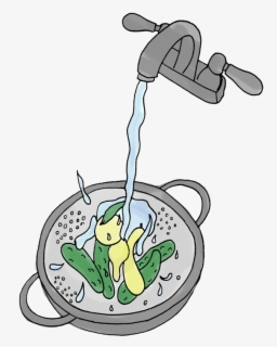 Washing Clipart Washing Vegetable - Washing Vegitables Clip Art , Free ...