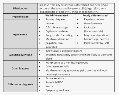 Squamous Cell Carcinoma Skin Differential Diagnosis , Free Transparent ...