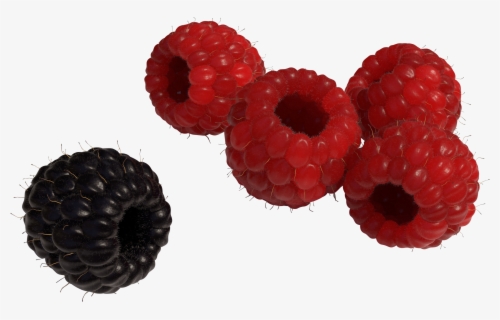 Free Raspberry Clip Art with No Background - ClipartKey