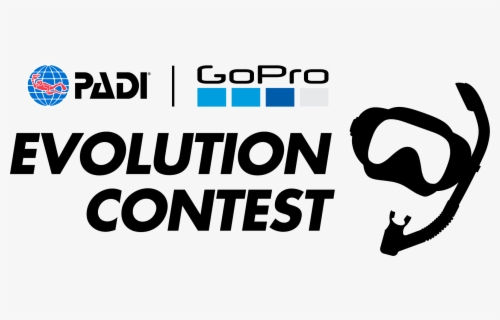 Padi Logo Png Transparent & Svg Vector - Padi Mexico Png , Free ...