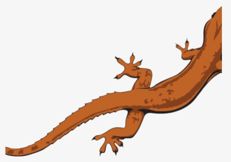 Download Transparent Lizard Png - Transparent Background Lizard Clipart ...