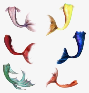 Transparent Fish Tail Png - Cut Out Whale , Free Transparent Clipart ...