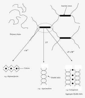 Handcuffs Clip Art - 8th Amendment Drawing Easy , Free Transparent ...