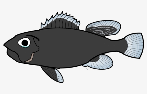Transparent Sad Fish Png - California Flounder , Free Transparent ...