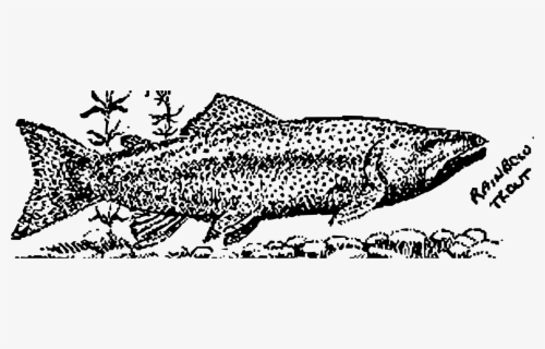 Trout Dxf File , Free Transparent Clipart - ClipartKey