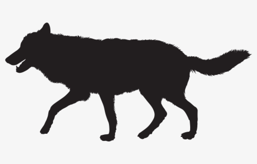 At Getdrawings Com Free - Transparent Background Wolf Silhouette Wolf ...