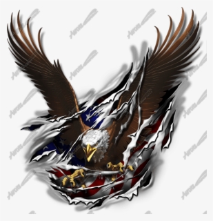 Download Eagle Ripping Through American Flag Clipart - These Colors Don ...