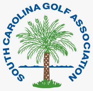 South Carolina Tree Logo , Free Transparent Clipart - ClipartKey