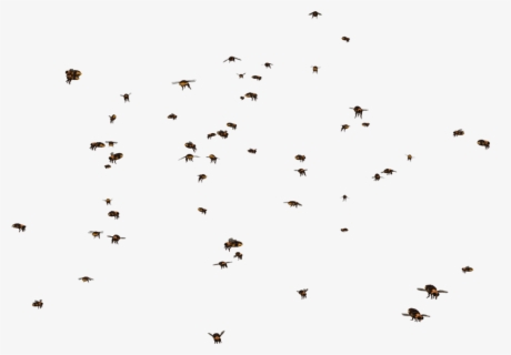 Transparent Swarm Png - Swarm Of Bees Drawing , Free Transparent ...
