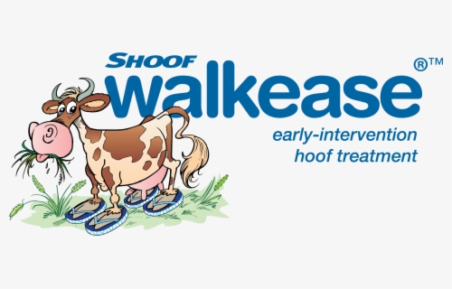 Walkease - Shoof , Free Transparent Clipart - ClipartKey