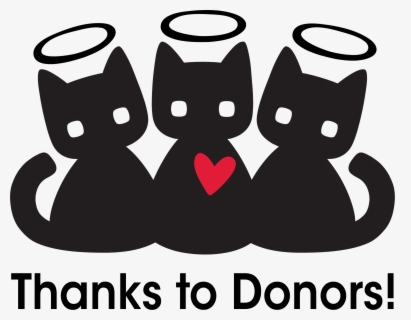 Ebf5 Cat Toys - Epic Battle Fantasy Nolegs Art , Free Transparent ...