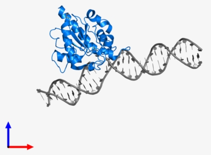 Mismatch , Free Transparent Clipart - ClipartKey