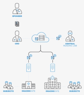 Clinical Research - Clinical Trial Sponsor Role , Free Transparent ...