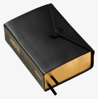 Png Library Scripture Clipart Lds - Light The World Lds Scripture ...