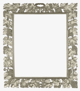 Transparent Photo With Vine - Square Golden Frame Png , Free ...