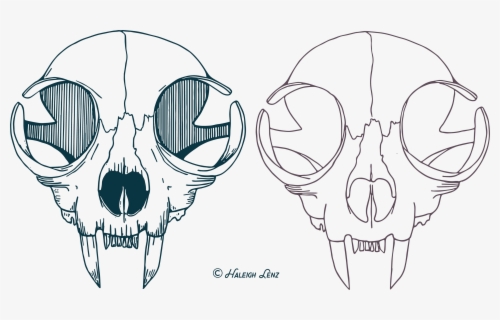 Clipart Skull Cat - Easy Drawn Cat Skull , Free Transparent Clipart ...