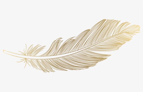 Gold Transparent Feather Png , Free Transparent Clipart - ClipartKey