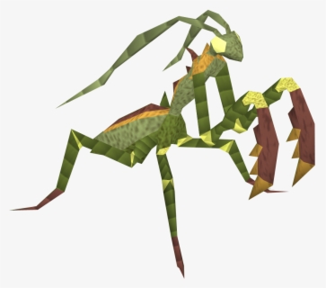 Praying Mantis Stencil , Free Transparent Clipart - ClipartKey