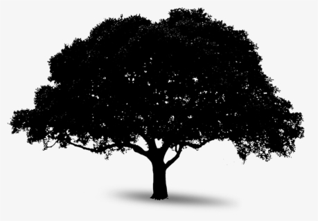 Tree Black And White Png - Tree Minimal Png , Free Transparent Clipart ...