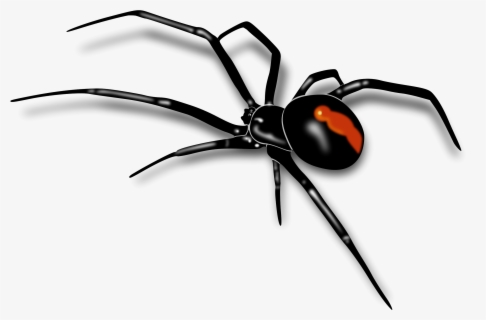 Clipartlook Cartoon Spiders - Red Back Spider Drawing , Free ...
